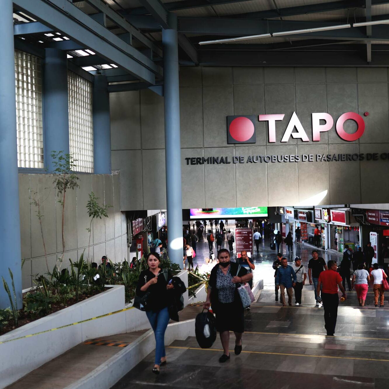 Movimentistas – TAPO: Un viaje a través del tiempo